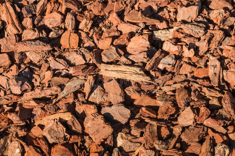Bark Chips Mulching Background Stock Image - Image of background ...