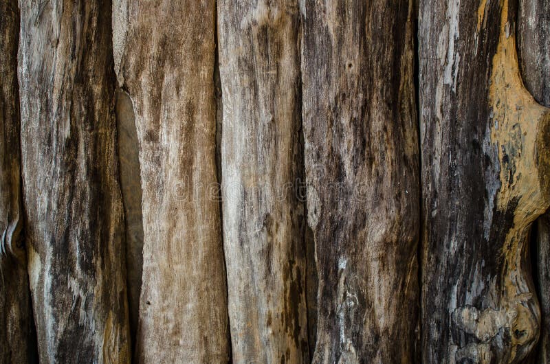 Bark stock image. Image of process, tree, effect, horizontal - 94974525