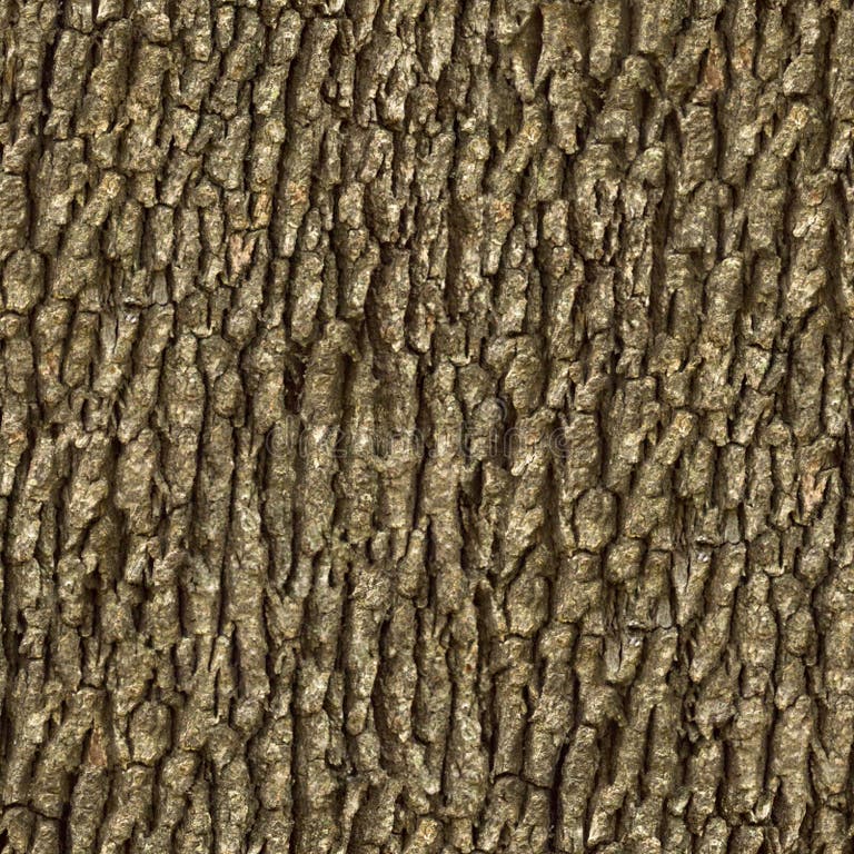 7,418 Seamless Tree Bark Texture Stock Photos - Free & Royalty-Free ...
