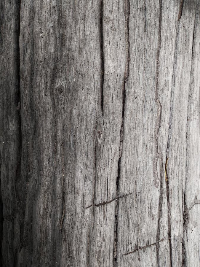 Bark Pattern, Wood Pattern, Background Stock Image - Image of brickwork ...