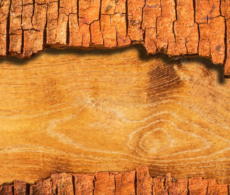 Bark frame stock photo. Image of background, color, border - 43304792