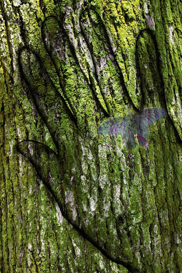 Bark hand stock image. Image of ghost, green, hand, friend - 53551571