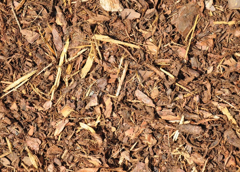 Recycling II stock image. Image of environment, mulch - 1717063