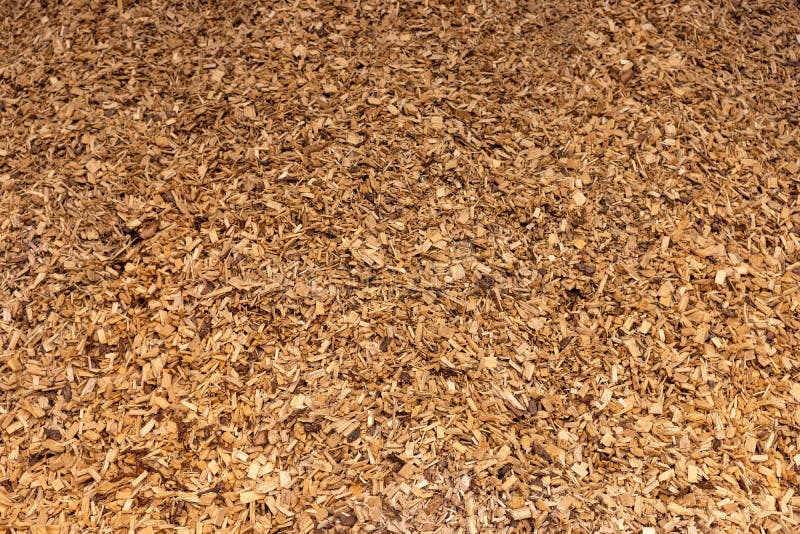 Bark Mulch, Wood Chips. Background, Texture Stock Photo - Image of ...