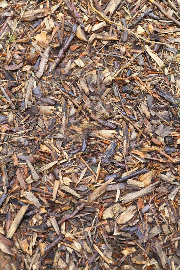 Bark mulch stock photo. Image of texture, mulch, structure - 34994694