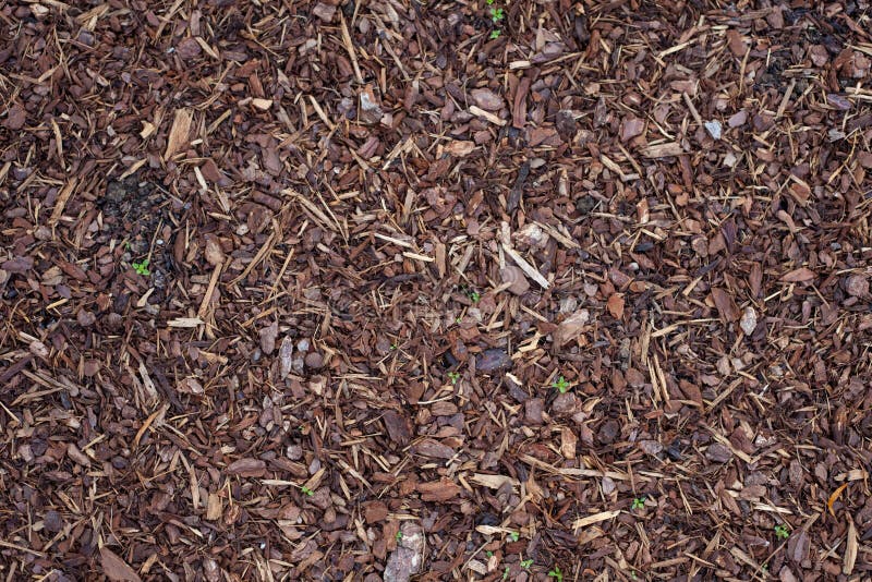 Bark mulch stock image. Image of mulch, texture, ground - 46722667
