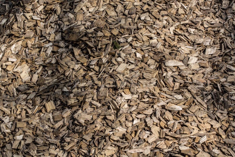 Bark Mulch for Soil Improvement Stock Image - Image of flowerbed ...
