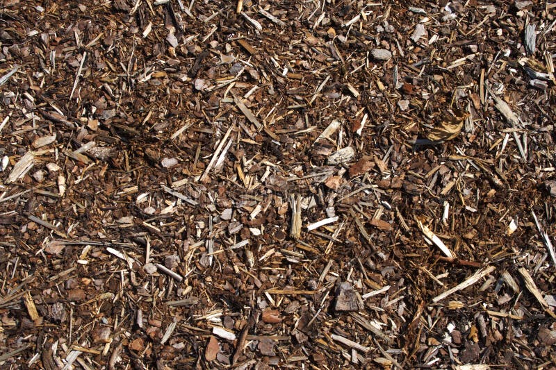 Bark mulch texture stock photo. Image of used, dung, beds - 58543902