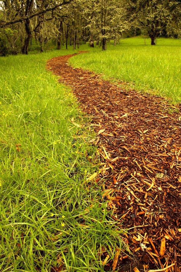 Bark path stock photo. Image of mulch, grass, path, green - 14564776