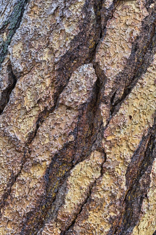 Ice Patterns stock photo. Image of glacier, snow, melting - 3377478