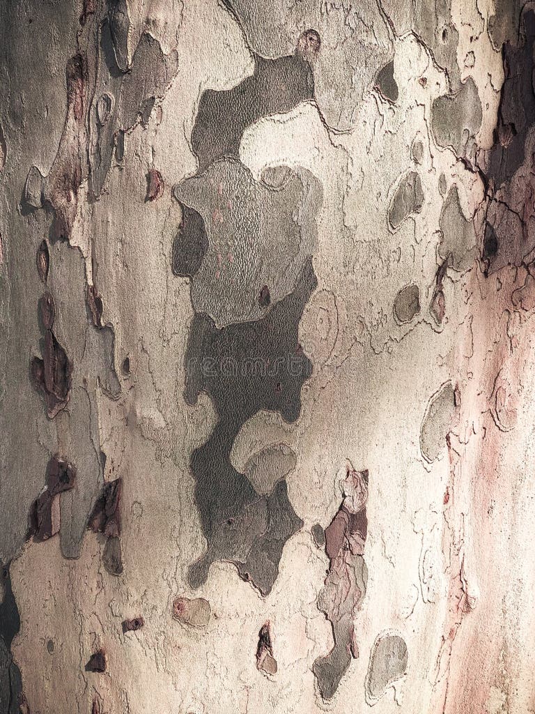 Map Phoenix Zip Code Stock Photos - Free & Royalty-Free Stock Photos ...