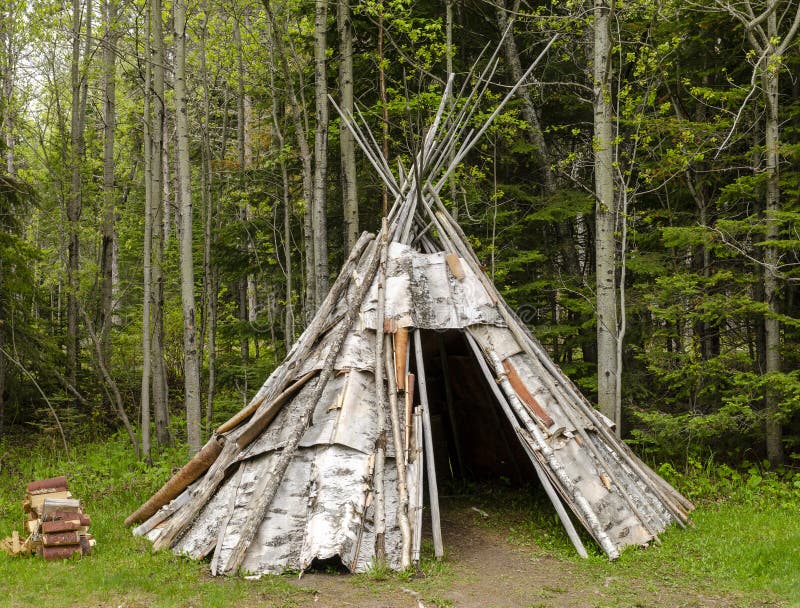 Bark Tepee in the Woods stock photo. Image of living - 161435294