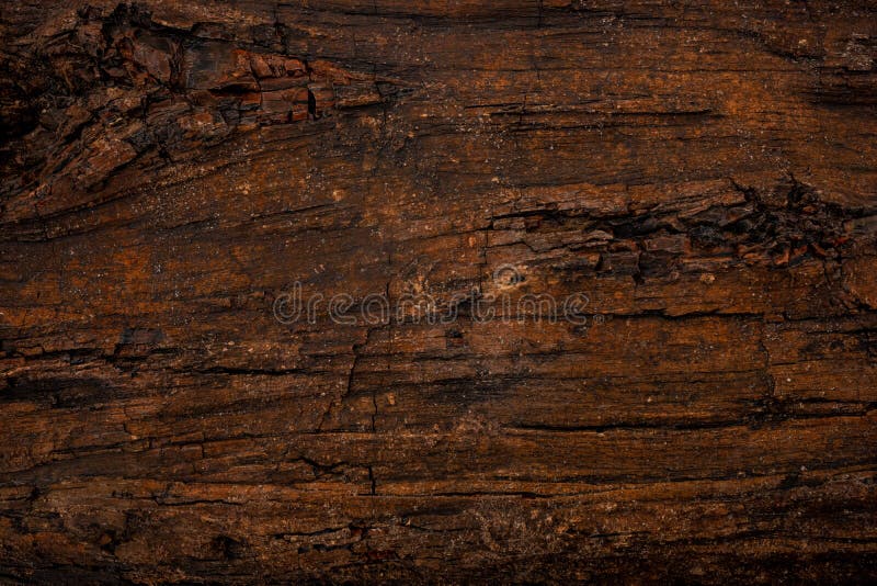 Bark Texture of Brown Petrified Wood Stock Image - Image of layers ...