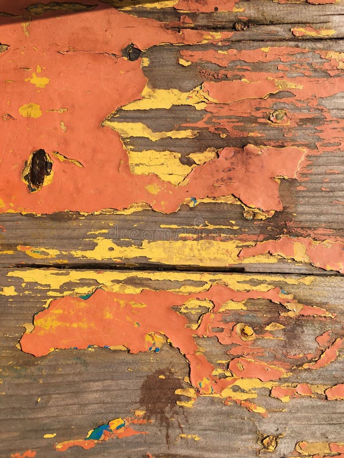 Bark Texture Pattern. Stem Creative Wooden Stock Photo - Image of moss ...