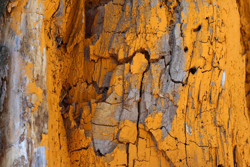 Painted yellow wood tree stock image. Image of space - 112088207