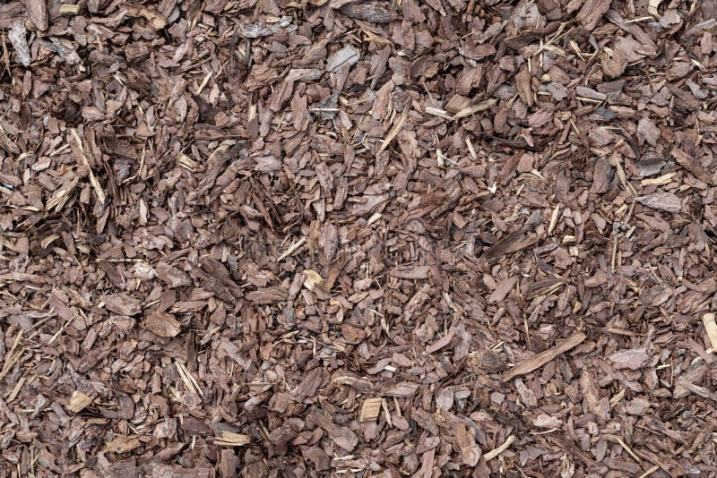 Bark and Wood Chip Pavement Texture, Top View. Stock Image - Image of ...