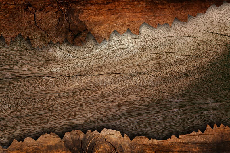 Wood worm holes stock photo. Image of background, brown - 8094742