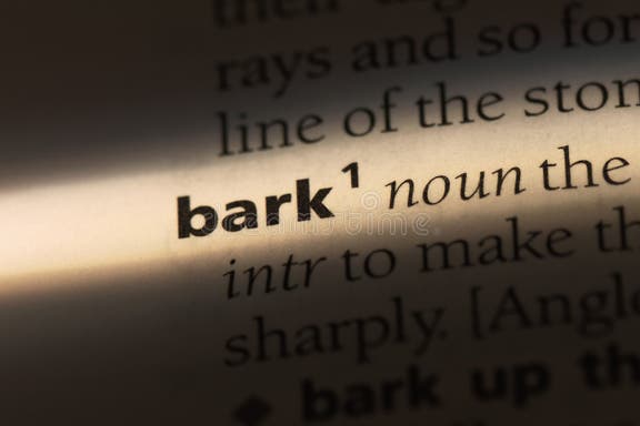 Bark stock image. Image of text, isolated, word, paper - 114411093