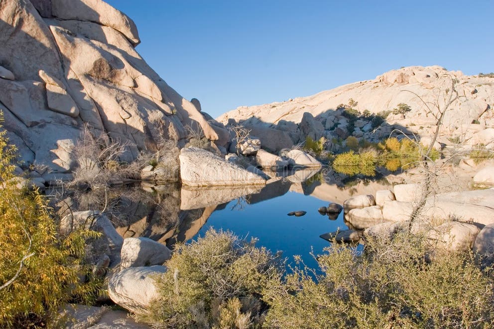 Barker Dam stock image. Image of landscape, monocot, forest - 5338367