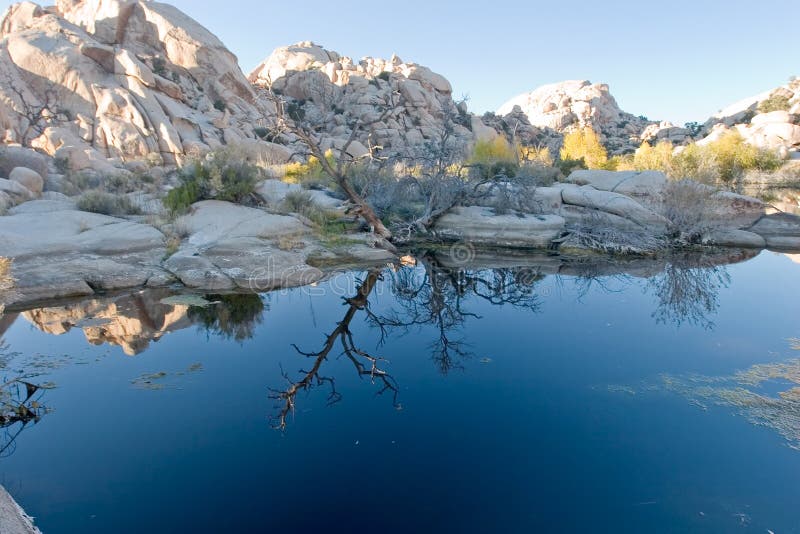 Barker Dam, Joshua Tree National Park Stock Photo - Image of formation ...