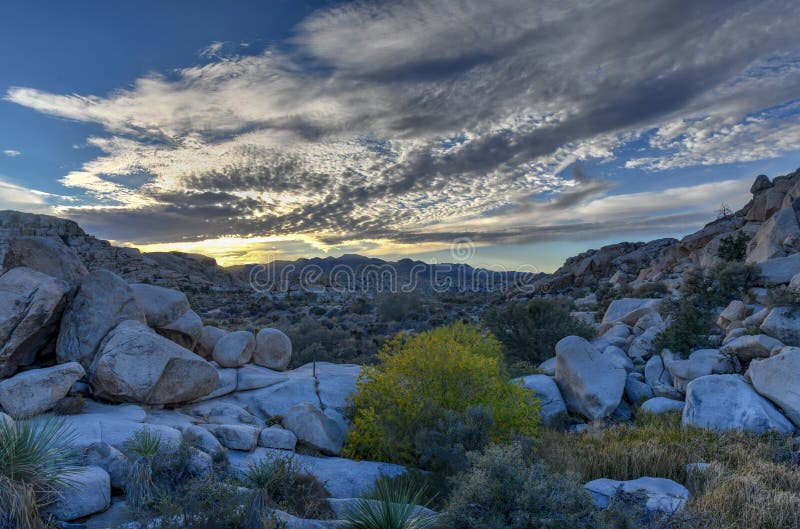 Barker Dam - Joshua Tree National Park Stock Photo - Image of landscape ...