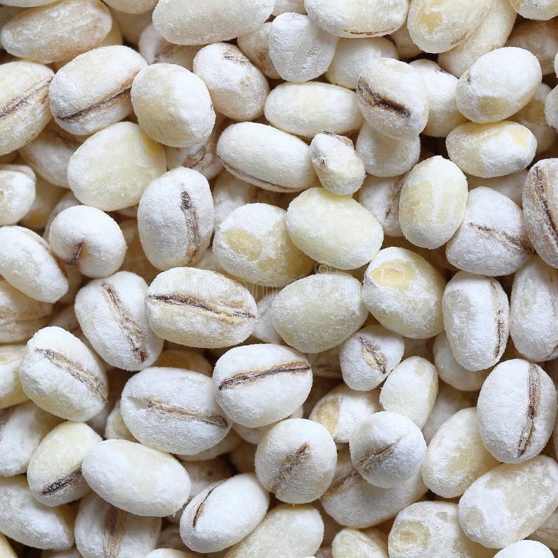 Barley stock photo. Image of diet, square, nourishment - 89251328