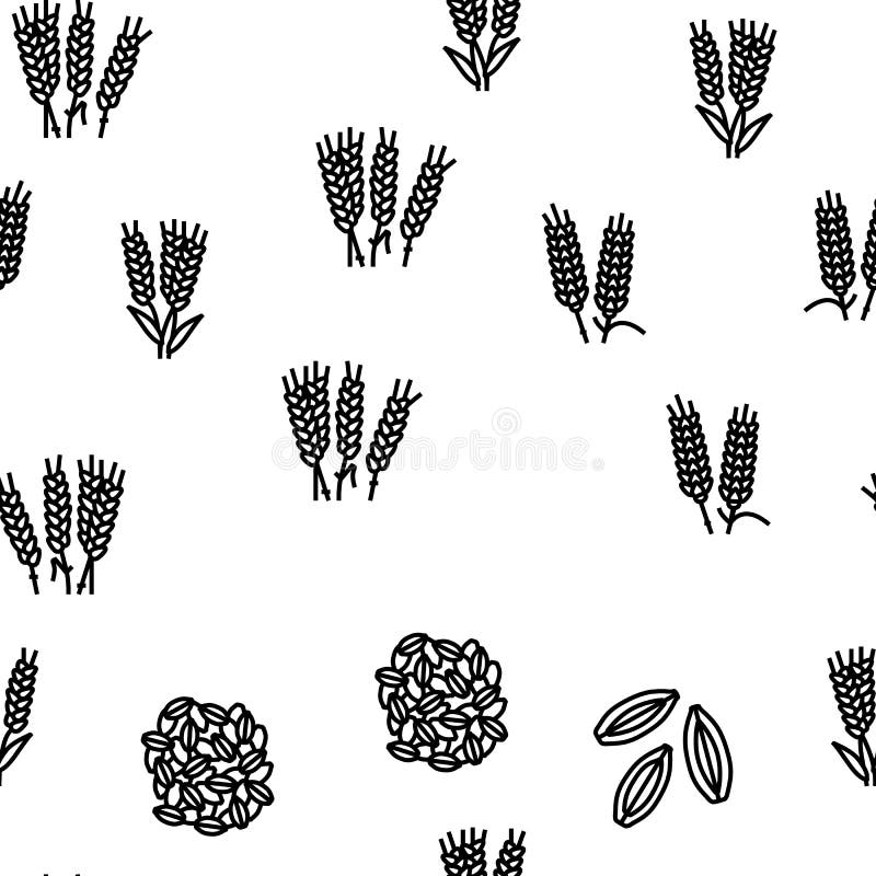 Barley Cereal Grain Harvest Vector Seamless Pattern Stock Illustration ...