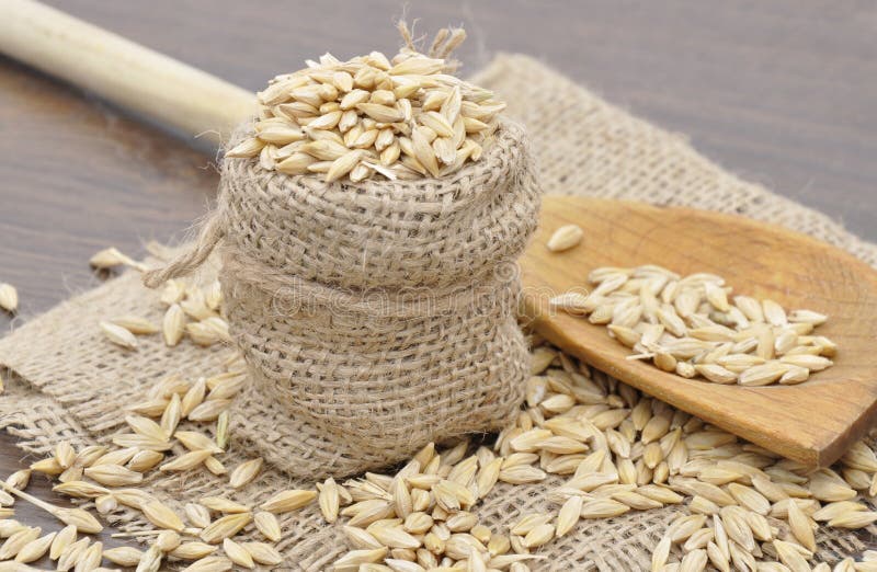 Barley in a cloth sack stock image. Image of beige, natural - 188367815