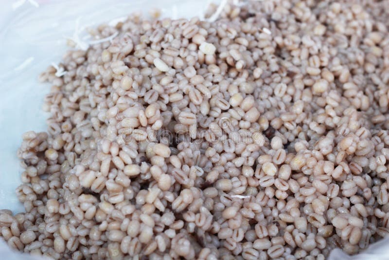 Barley Cooked White in Nature. Stock Image - Image of meal, organic ...