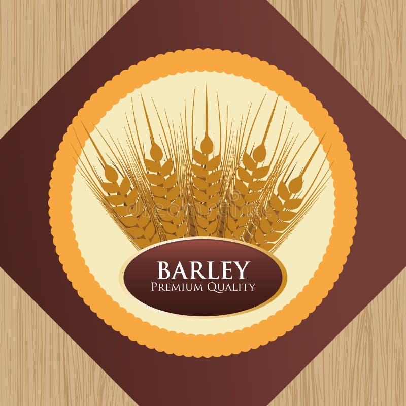 Barley design stock vector. Illustration of grow, barley - 60464203