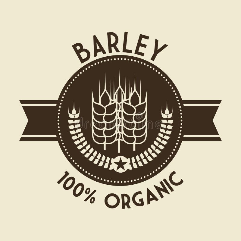Barley design stock vector. Illustration of organic, healthy - 60464409