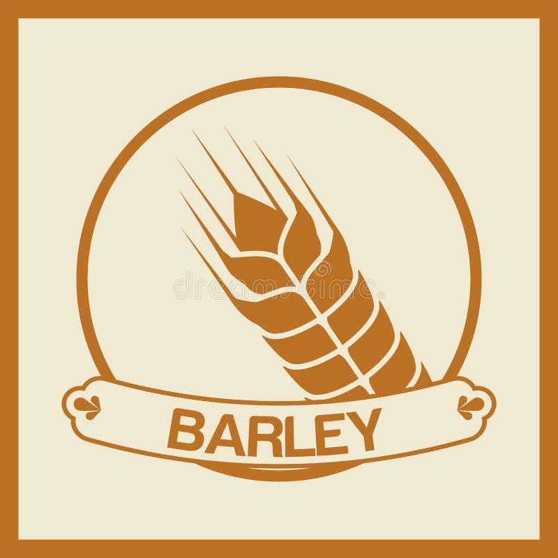 Barley design stock vector. Illustration of farming, plant - 60471598