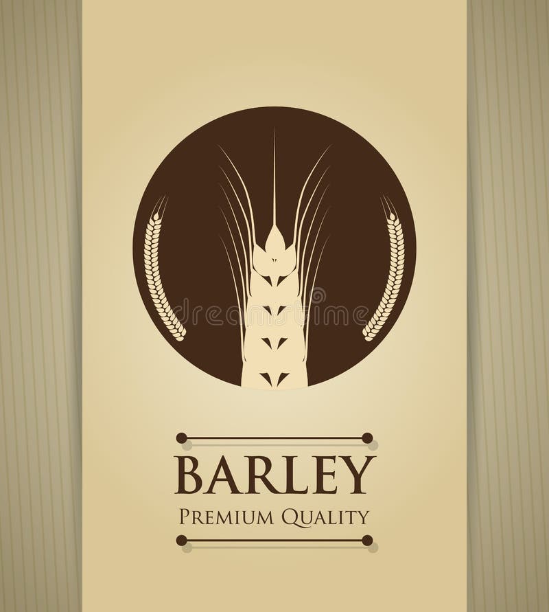 Barley design stock vector. Illustration of natural, food - 60474173
