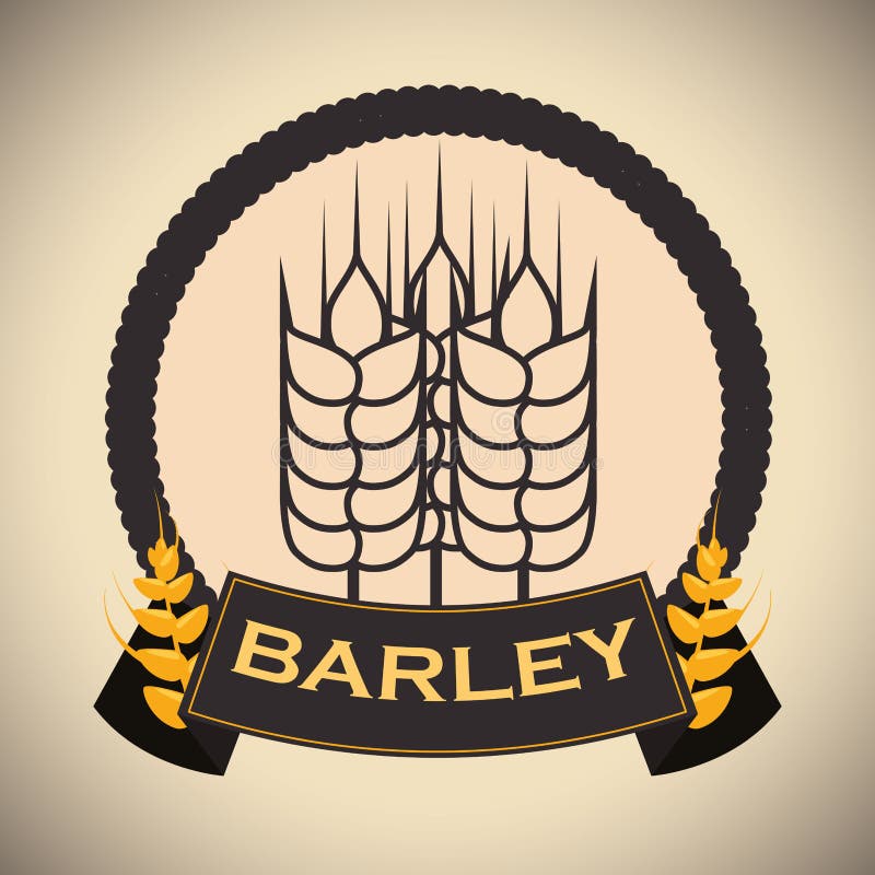 Barley design stock vector. Illustration of icon, healthy - 60474367