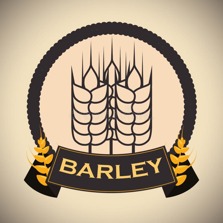 Barley design stock vector. Illustration of icon, healthy - 60474367