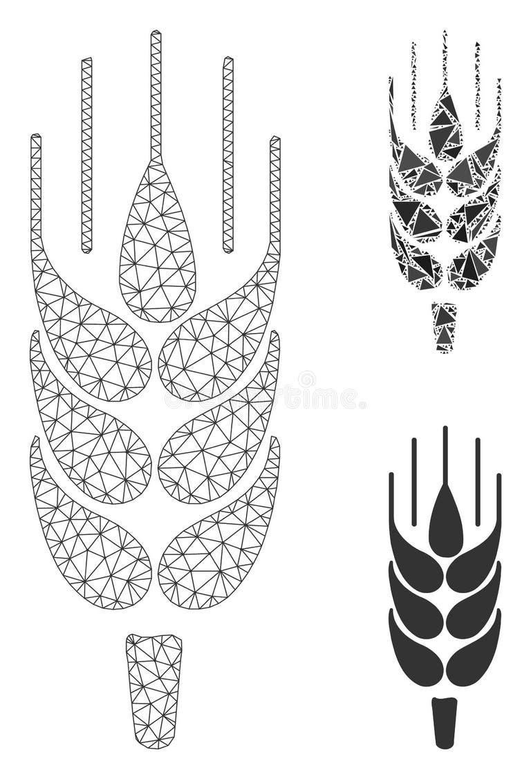 Barley Plant Parts Stock Illustrations – 12 Barley Plant Parts Stock ...
