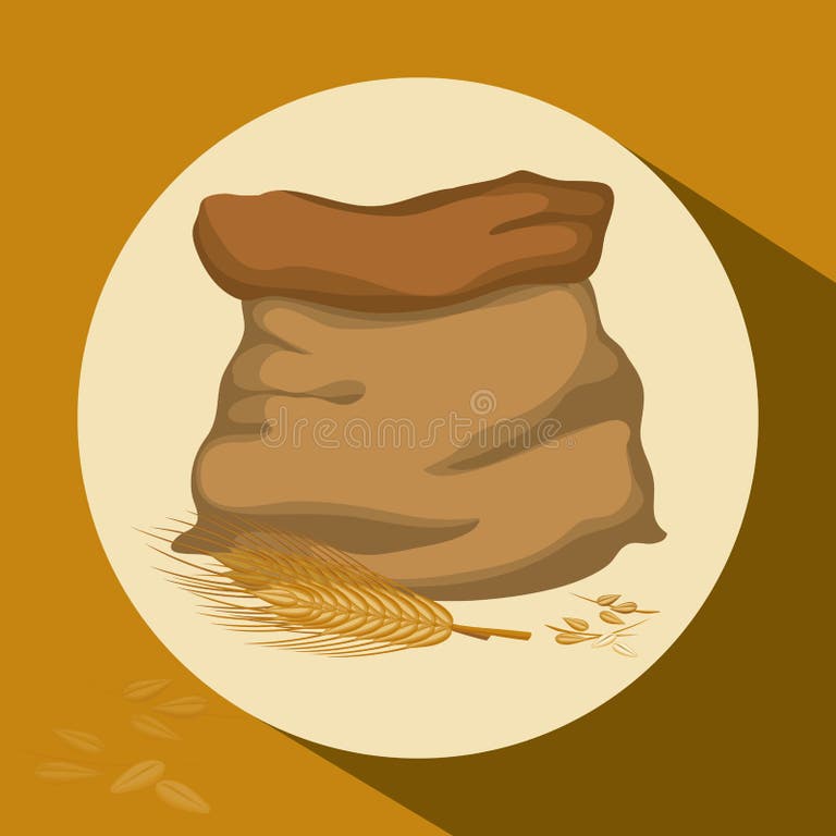 Barley grains design stock vector. Illustration of land - 62943643