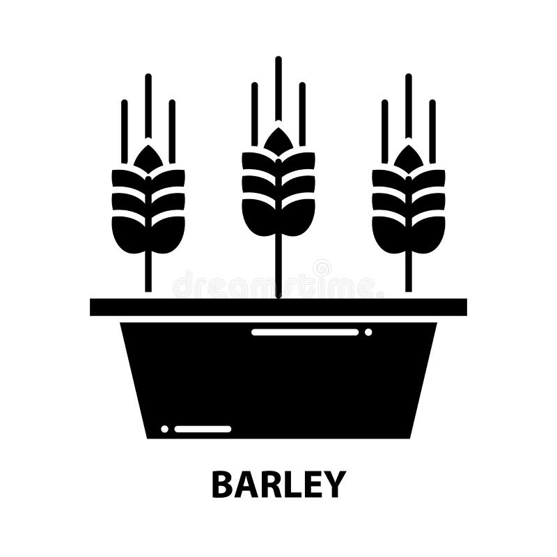 Barley Icon, Black Vector Sign with Editable Strokes, Concept ...