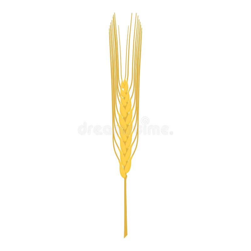 Barley Cartoon Stock Illustrations – 3,775 Barley Cartoon Stock ...