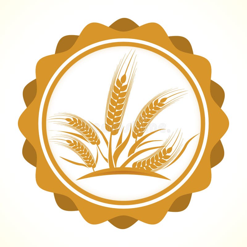 Barley icon design stock vector. Illustration of natural - 65420985