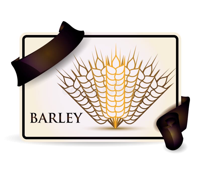 Barley icon design stock vector. Illustration of summer - 65420852