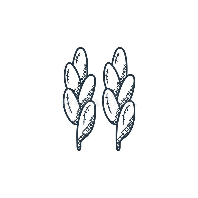 Barley Thin Line Icon, Harvest and Rye, Wheat Sign, Vector Graphics, a ...