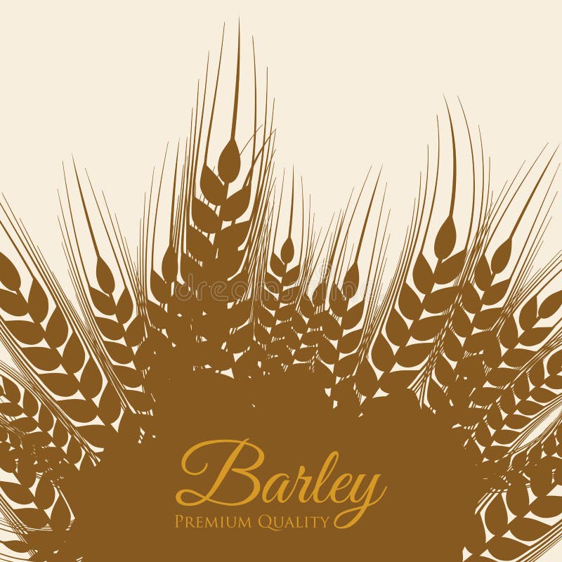 Barley Icons stock vector. Illustration of production - 58473922