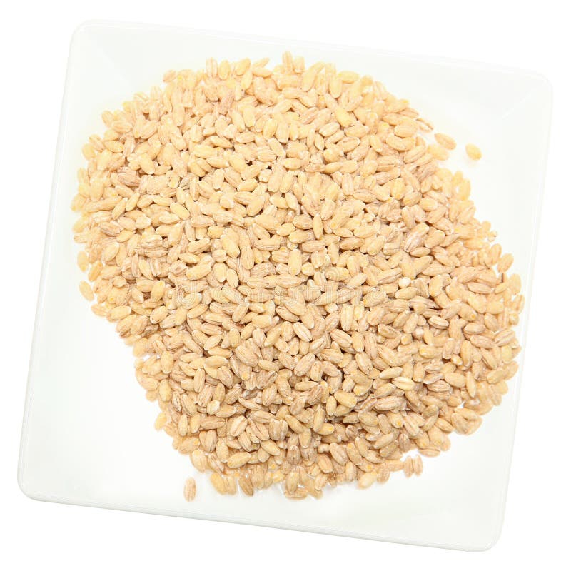 Barley Pearls Raw Whole stock image. Image of cereal - 95324777