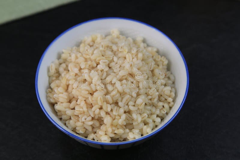 Barley rice stock photo. Image of grain, vegetarian, barley - 69641094