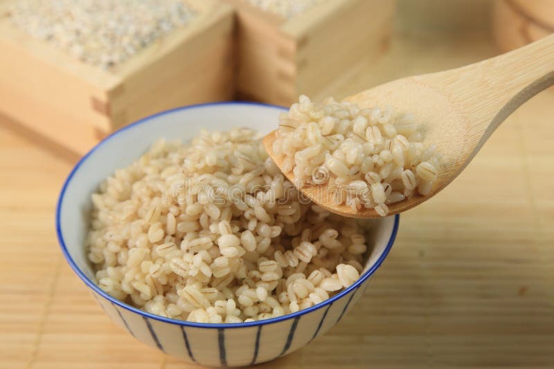 Barley rice stock photo. Image of brown, grain, diet - 69641110