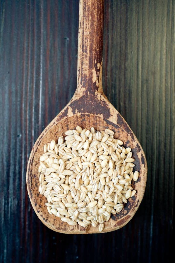 Barley seeds stock image. Image of macro, vegetarian - 18424859