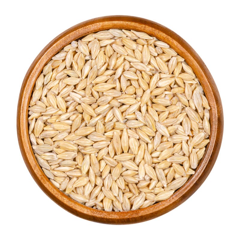 Barley Grains, Seeds with Outer Husk in Wooden Bowl Stock Image - Image ...