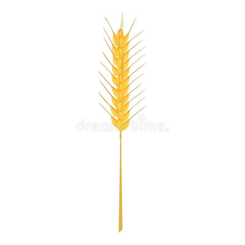 Barley Stalk Icon, Cartoon Style Stock Vector - Illustration of golden ...