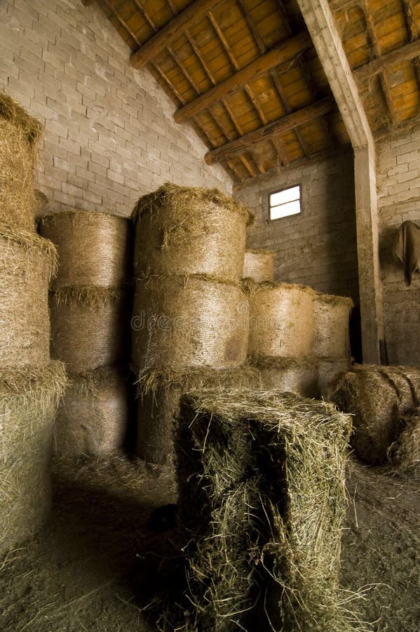 Interior of Barn with Hay Bales Stock Photo - Image of food, hayloft ...